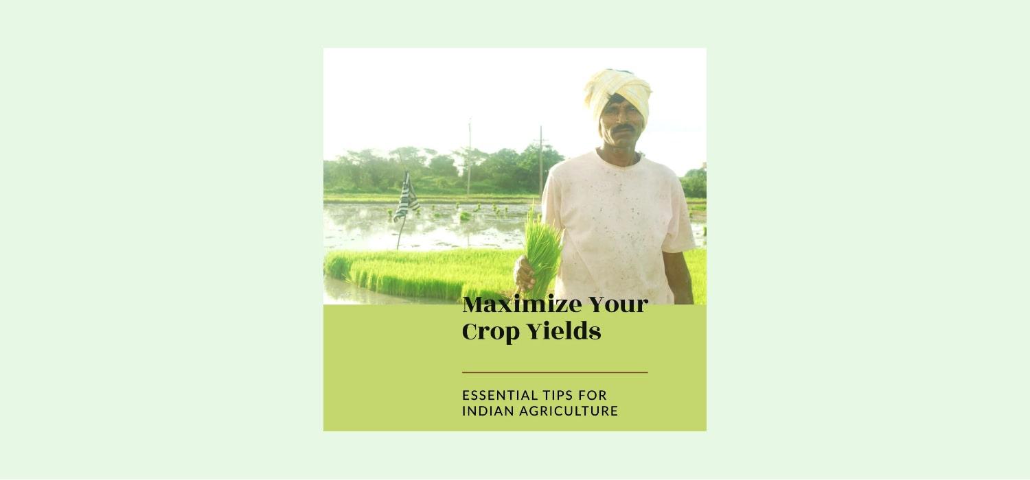 Essential Tips for Maximizing Crop Yields in Indian Agriculture Essential Tips for Maximizing Crop Yields in Indian Agriculture